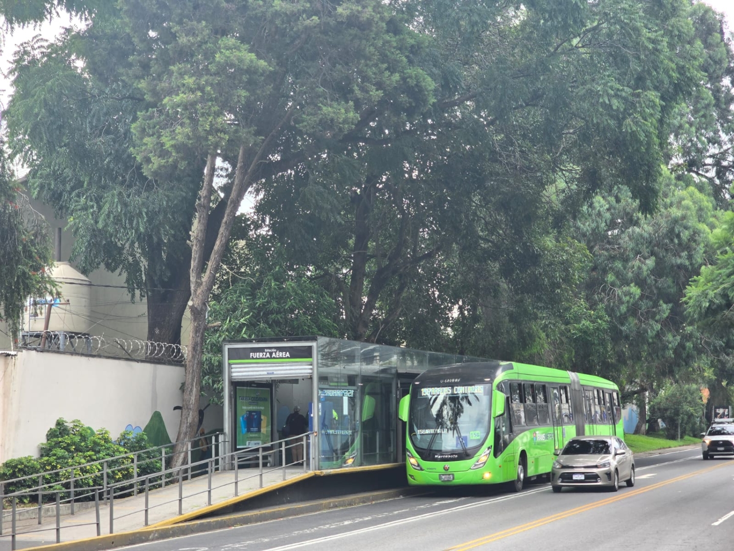Cómo moverte en la Línea 13 del TransMetro: guía completa de su ...